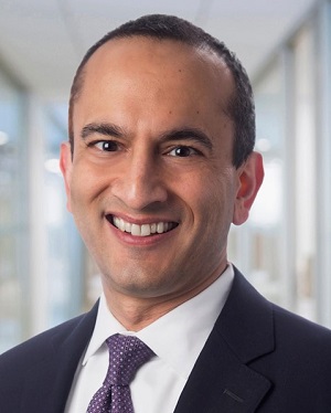 Anand S. Raman - The BTI Consulting Group