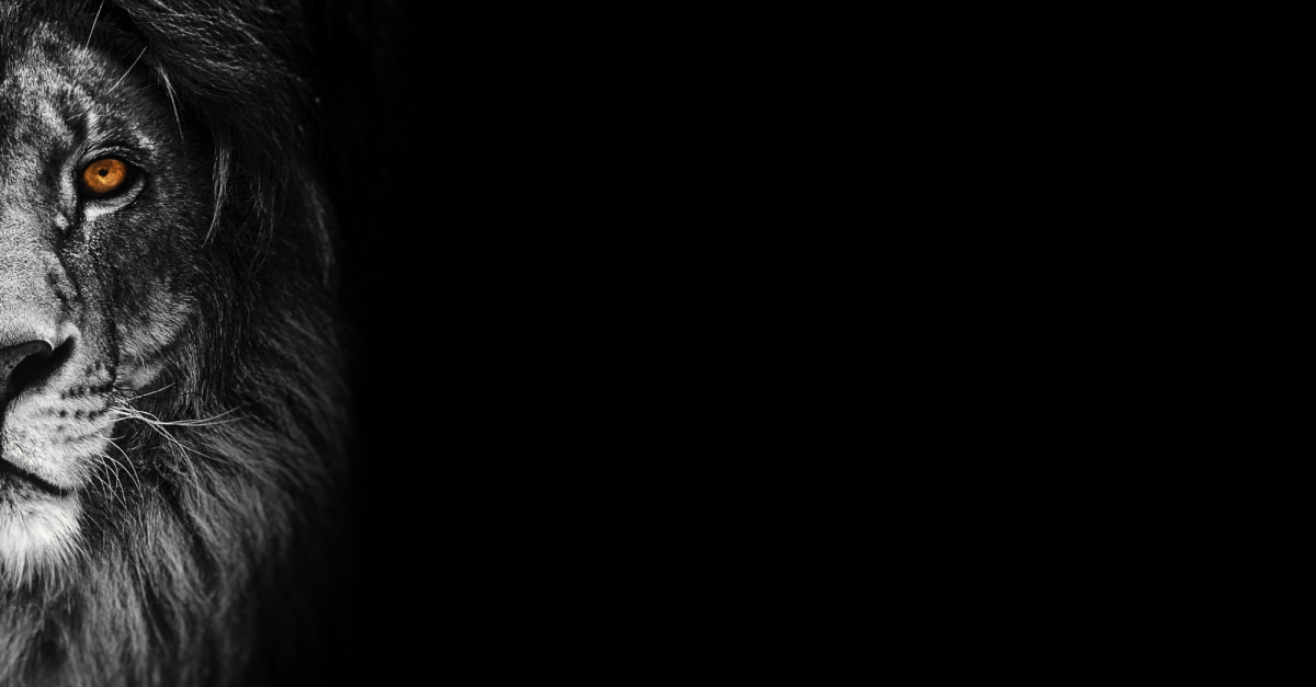 Clients Name 26 Best of the Best Law Firms in IP Litigation - The BTI ...